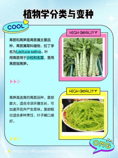 青笋和莴笋一样吗_青笋与莴笋的区别-第1张图片-山城妙识