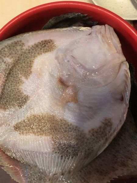 多宝鱼去皮怎么处理_多宝鱼去皮技巧视频-第3张图片-山城妙识