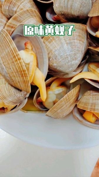 清蒸黄蚬子怎么蒸_清蒸黄蚬子蒸几分钟-第2张图片-山城妙识