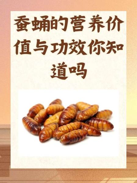 蚕蛹的功效与作用_蚕蛹怎么吃最营养-第3张图片-山城妙识