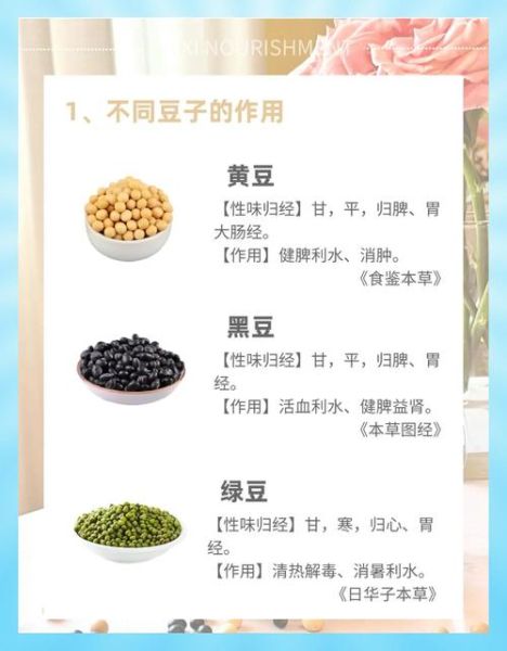 豆类有哪些功效与作用_怎么吃最营养-第1张图片-山城妙识