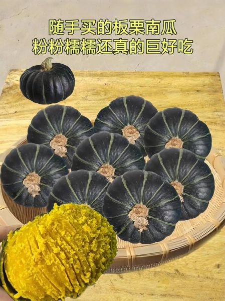 板栗南瓜蒸多久能熟_蒸板栗南瓜要多长时间-第1张图片-山城妙识