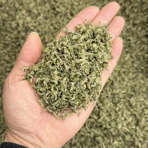 为什么喝碧螺春的人少了_碧螺春销量下滑原因-第1张图片-山城妙识 为什么喝碧螺春的人少了_碧螺春销量下滑原因-第1张图片-山城妙识