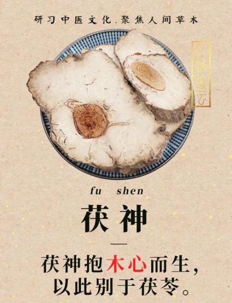 茯神和茯苓的区别_茯神与茯苓功效差异-第1张图片-山城妙识 茯神和茯苓的区别_茯神与茯苓功效差异-第1张图片-山城妙识