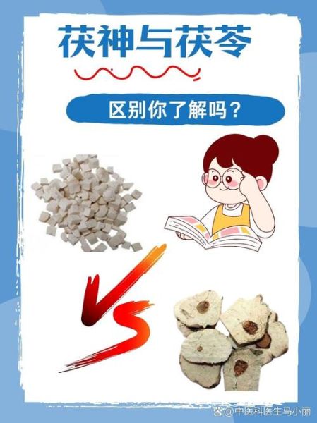 茯神和茯苓的区别_茯神与茯苓功效差异-第2张图片-山城妙识 茯神和茯苓的区别_茯神与茯苓功效差异-第2张图片-山城妙识