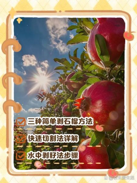 怎么剥石榴最快_石榴剥法图解-第3张图片-山城妙识