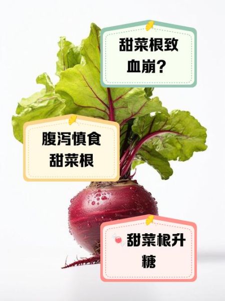 甜菜根的危害_哪些人不能吃甜菜根-第1张图片-山城妙识
