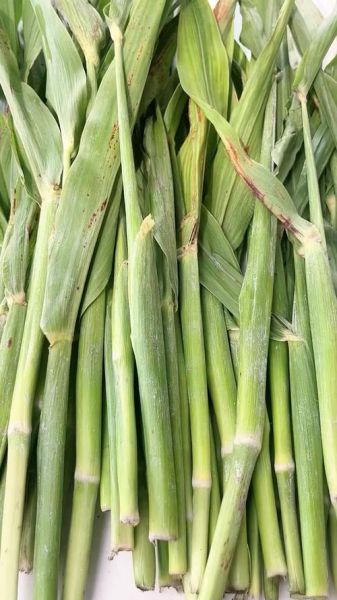 高粱乌米有什么功效_高粱乌米怎么吃效果最好-第1张图片-山城妙识