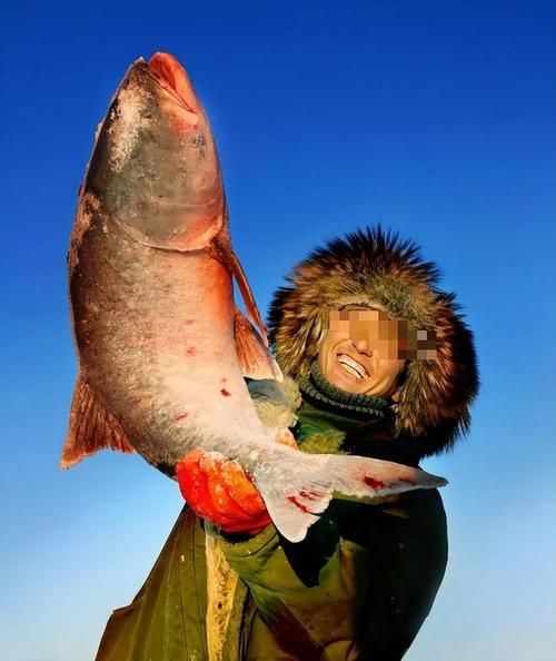 大马哈鱼图片大全大图_大马哈鱼高清图哪里找-第2张图片-山城妙识