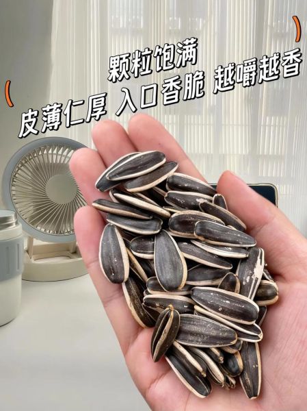 葵花籽价格多少钱一斤_葵花籽批发多少钱一斤-第1张图片-山城妙识