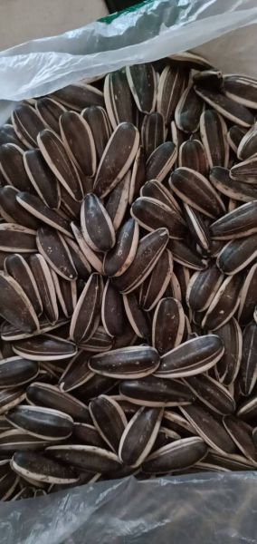 葵花籽价格多少钱一斤_葵花籽批发多少钱一斤-第2张图片-山城妙识