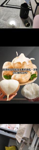 凉薯怎么保存_凉薯可以生吃吗-第2张图片-山城妙识 凉薯怎么保存_凉薯可以生吃吗-第2张图片-山城妙识