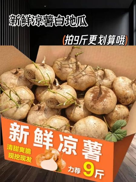 凉薯怎么保存_凉薯可以生吃吗-第1张图片-山城妙识 凉薯怎么保存_凉薯可以生吃吗-第1张图片-山城妙识