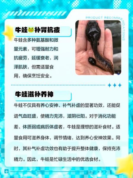 吃牛蛙有什么好处_牛蛙的营养价值与功效-第1张图片-山城妙识