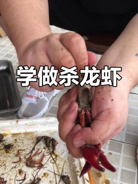 大龙虾怎么杀_大龙虾杀法图解-第1张图片-山城妙识 大龙虾怎么杀_大龙虾杀法图解-第1张图片-山城妙识