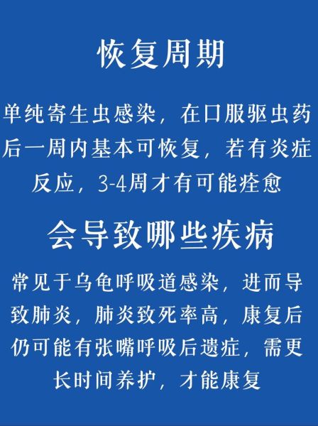 怎么确认自己感染了寄生虫_寄生虫症状有哪些-第1张图片-山城妙识 怎么确认自己感染了寄生虫_寄生虫症状有哪些-第1张图片-山城妙识