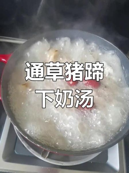 通草猪蹄汤通草放多少_一次放几克才下奶-第1张图片-山城妙识