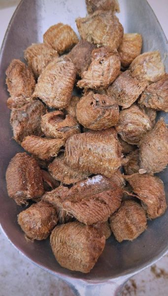 桑螵蛸图片大全_桑螵蛸长什么样-第3张图片-山城妙识