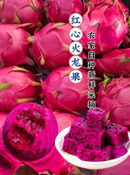 红心火龙果怎么吃_红心火龙果的正确吃法-第1张图片-山城妙识 红心火龙果怎么吃_红心火龙果的正确吃法-第1张图片-山城妙识