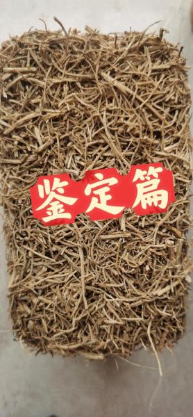 野山参图片真假辨别_野山参价格多少钱一克-第2张图片-山城妙识 野山参图片真假辨别_野山参价格多少钱一克-第2张图片-山城妙识