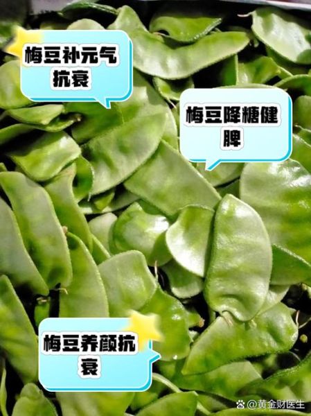 梅豆怎么做好吃_梅豆的功效与作用-第1张图片-山城妙识 梅豆怎么做好吃_梅豆的功效与作用-第1张图片-山城妙识