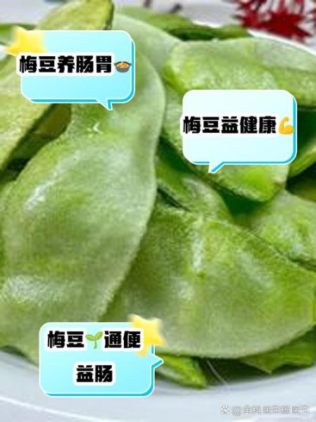 梅豆怎么做好吃_梅豆的功效与作用-第3张图片-山城妙识 梅豆怎么做好吃_梅豆的功效与作用-第3张图片-山城妙识