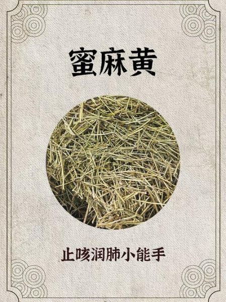 蜜麻黄的功效与作用_蜜麻黄与麻黄的区别-第1张图片-山城妙识