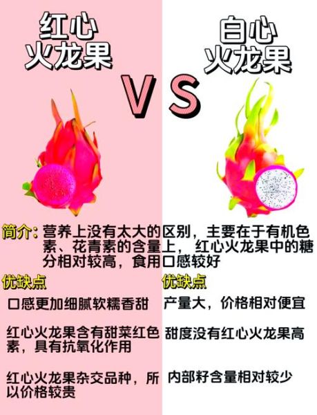 白心火龙果和红心火龙果哪个好_功效区别在哪-第1张图片-山城妙识