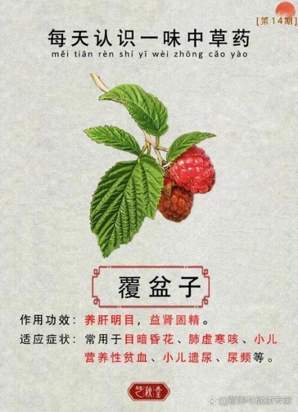 野生覆盆子有什么功效_野生覆盆子怎么吃最好-第2张图片-山城妙识 野生覆盆子有什么功效_野生覆盆子怎么吃最好-第2张图片-山城妙识