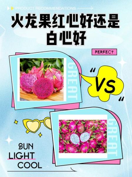 白心火龙果和红心火龙果哪个好_功效区别在哪-第2张图片-山城妙识