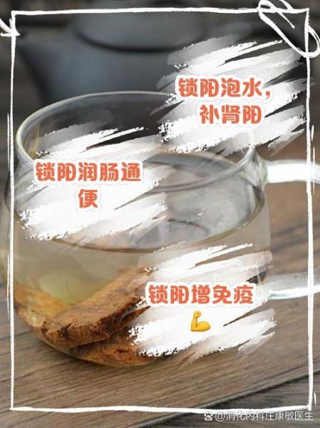 锁阳泡水喝的功效_锁阳泡水怎么喝最有效-第2张图片-山城妙识