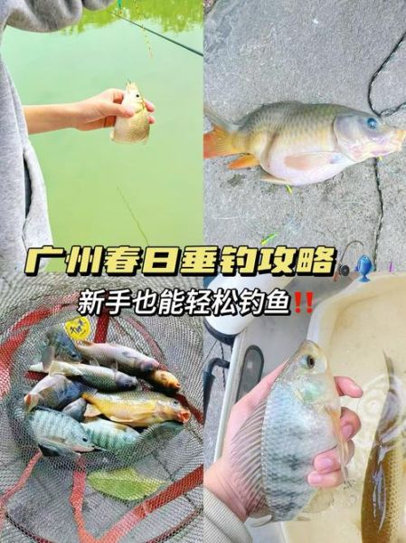 香鱼怎么钓_香鱼钓法技巧-第1张图片-山城妙识