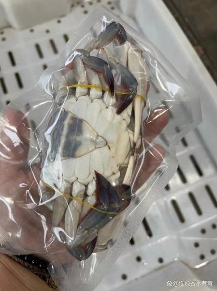 梭子蟹一直冷冻能放多久_冷冻梭子蟹还能吃吗-第2张图片-山城妙识