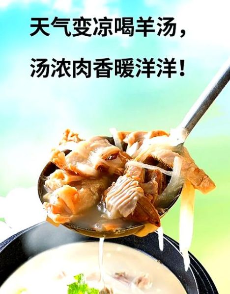 羊汤怎么熬才白_正宗羊汤做法教程-第1张图片-山城妙识 羊汤怎么熬才白_正宗羊汤做法教程-第1张图片-山城妙识