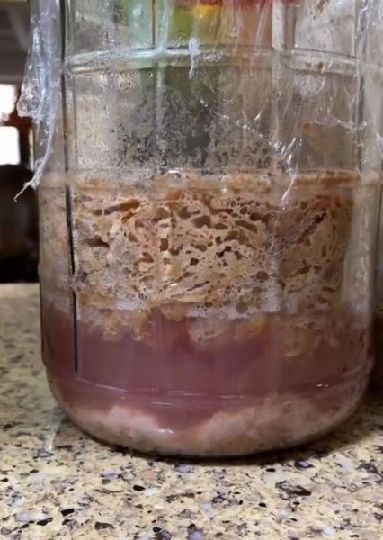 自制葡萄酒的危害_自制葡萄酒注意事项-第3张图片-山城妙识 自制葡萄酒的危害_自制葡萄酒注意事项-第3张图片-山城妙识