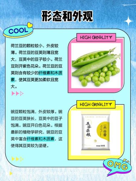 荷兰豆是不是豌豆_荷兰豆和豌豆的区别-第2张图片-山城妙识