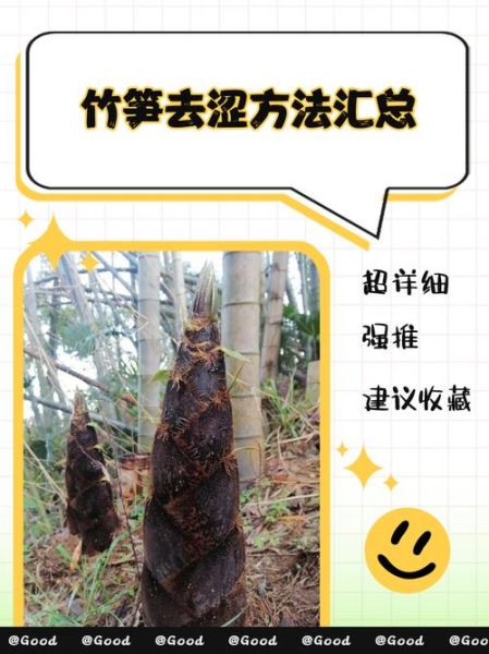 新鲜竹笋怎么处理好吃_竹笋去涩技巧-第1张图片-山城妙识