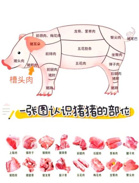 猪颈肉和梅花肉的区别_哪个部位更好吃-第3张图片-山城妙识