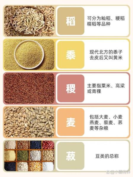 五谷杂粮是哪5种粮食_五谷杂粮具体指哪些-第2张图片-山城妙识