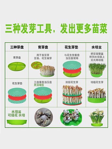 花生芽机器设备多少钱_花生芽机怎么选-第1张图片-山城妙识