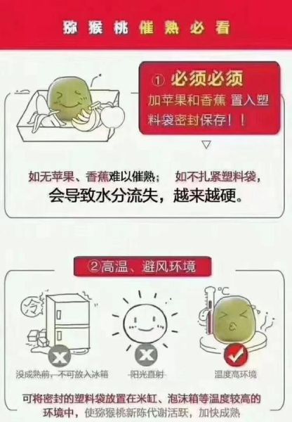 猕猴桃怎么催熟_猕猴桃催熟方法22种-第1张图片-山城妙识