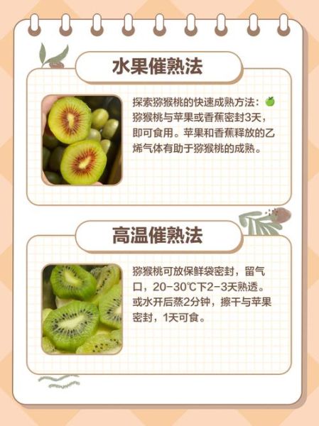 猕猴桃怎么催熟_猕猴桃催熟方法22种-第3张图片-山城妙识