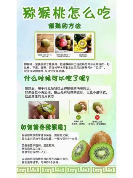 猕猴桃怎么催熟_猕猴桃催熟方法22种-第2张图片-山城妙识