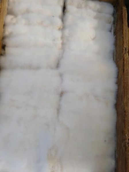 霉千张筒怎么做好吃_霉千张筒的家常做法-第3张图片-山城妙识 霉千张筒怎么做好吃_霉千张筒的家常做法-第3张图片-山城妙识