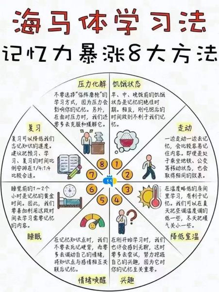 增强记忆力最有效的办法是什么_如何快速提高记忆力-第2张图片-山城妙识