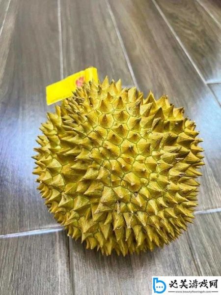 榴莲app破解版无限次数_真的安全吗-第1张图片-山城妙识