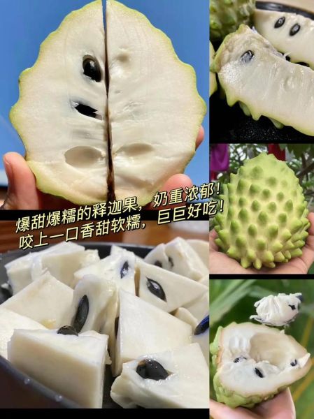 世界十大奢侈水果有哪些_为什么这么贵-第2张图片-山城妙识