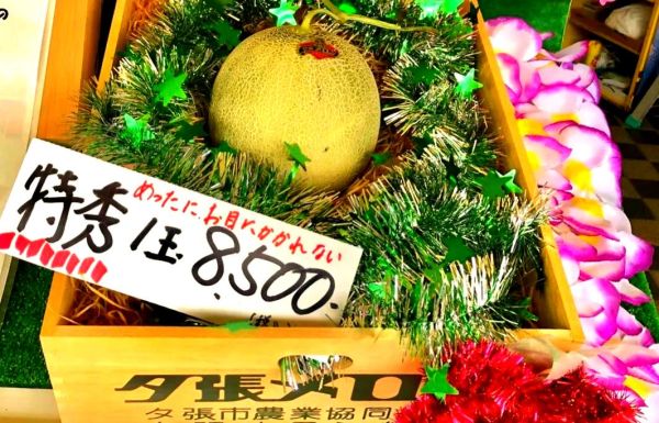 世界十大奢侈水果有哪些_为什么这么贵-第3张图片-山城妙识