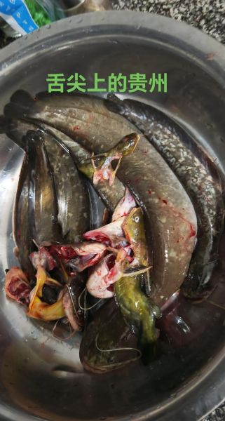 塘坝鱼怎么做_塘坝鱼正宗做法-第1张图片-山城妙识