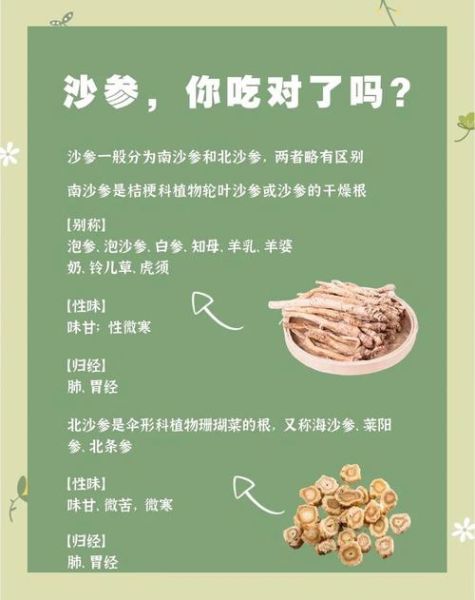 南沙参的功效与作用_南沙参适合什么人吃-第2张图片-山城妙识